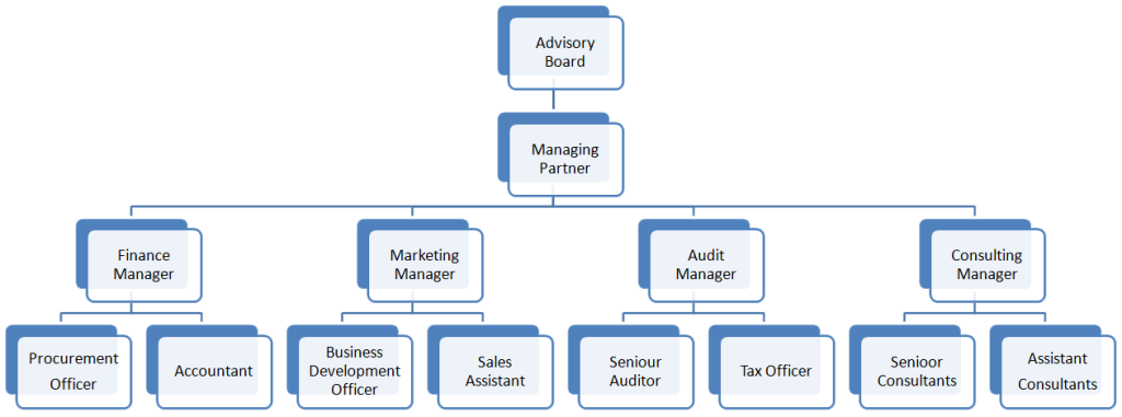 Organizational Structure – Celerity Associates CPA